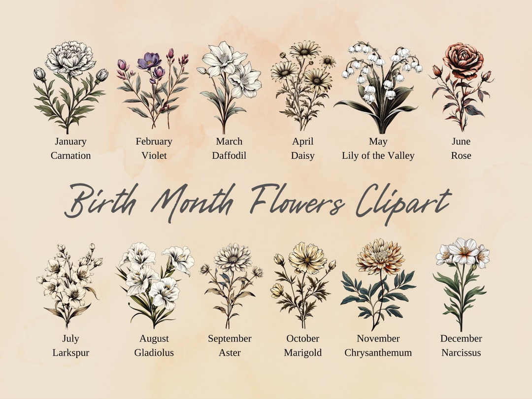 Birth Month Flowers Clipart, Minimalistic Floral PNG, Flower Bouquet ...