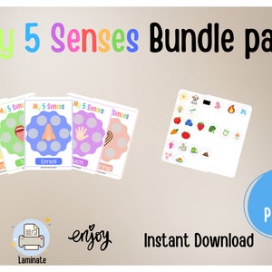 My 5 Senses Bundle Pack Home-school, Preschool, Toddlers, Learning ...