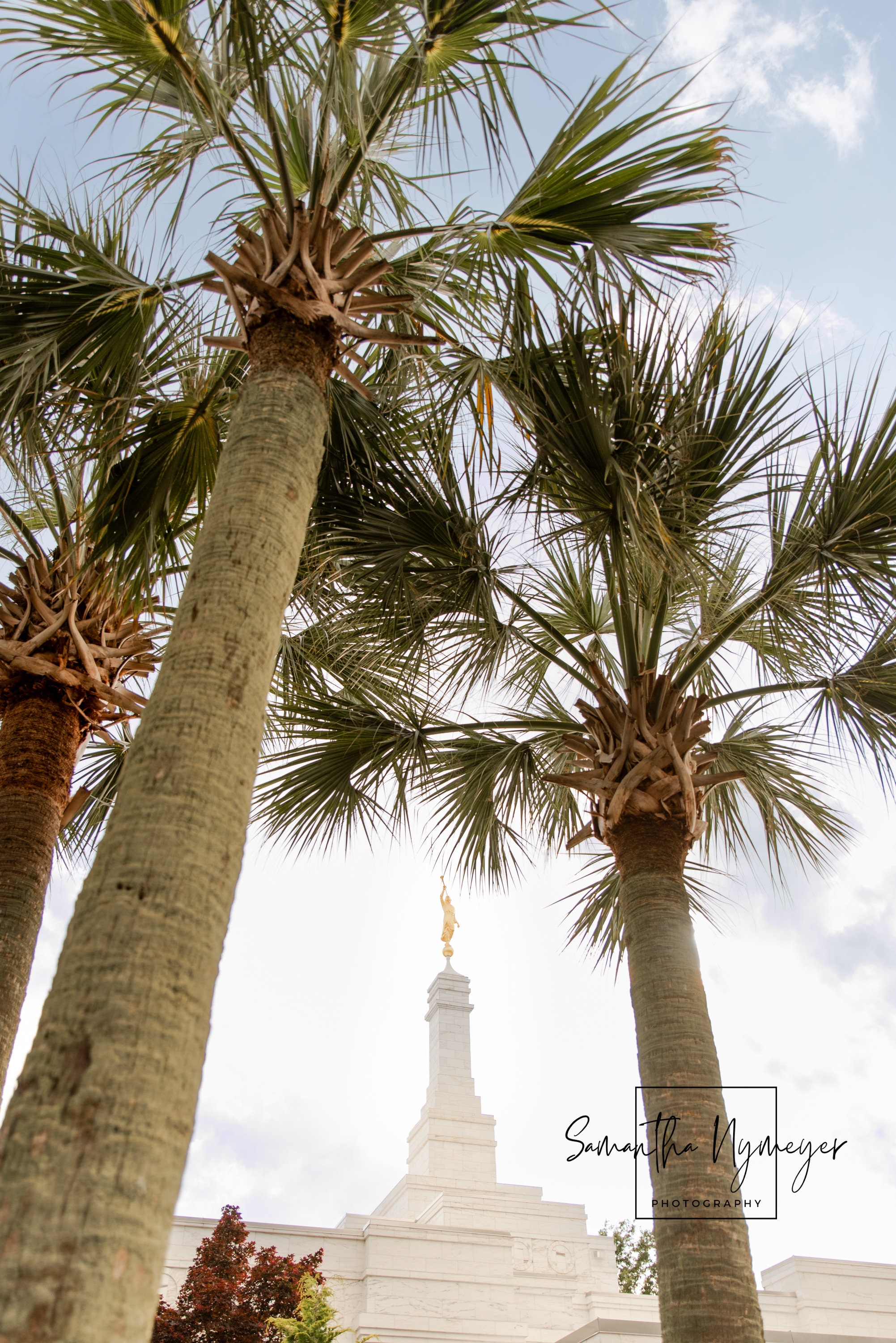 South Carolina LDS Temple - Etsy