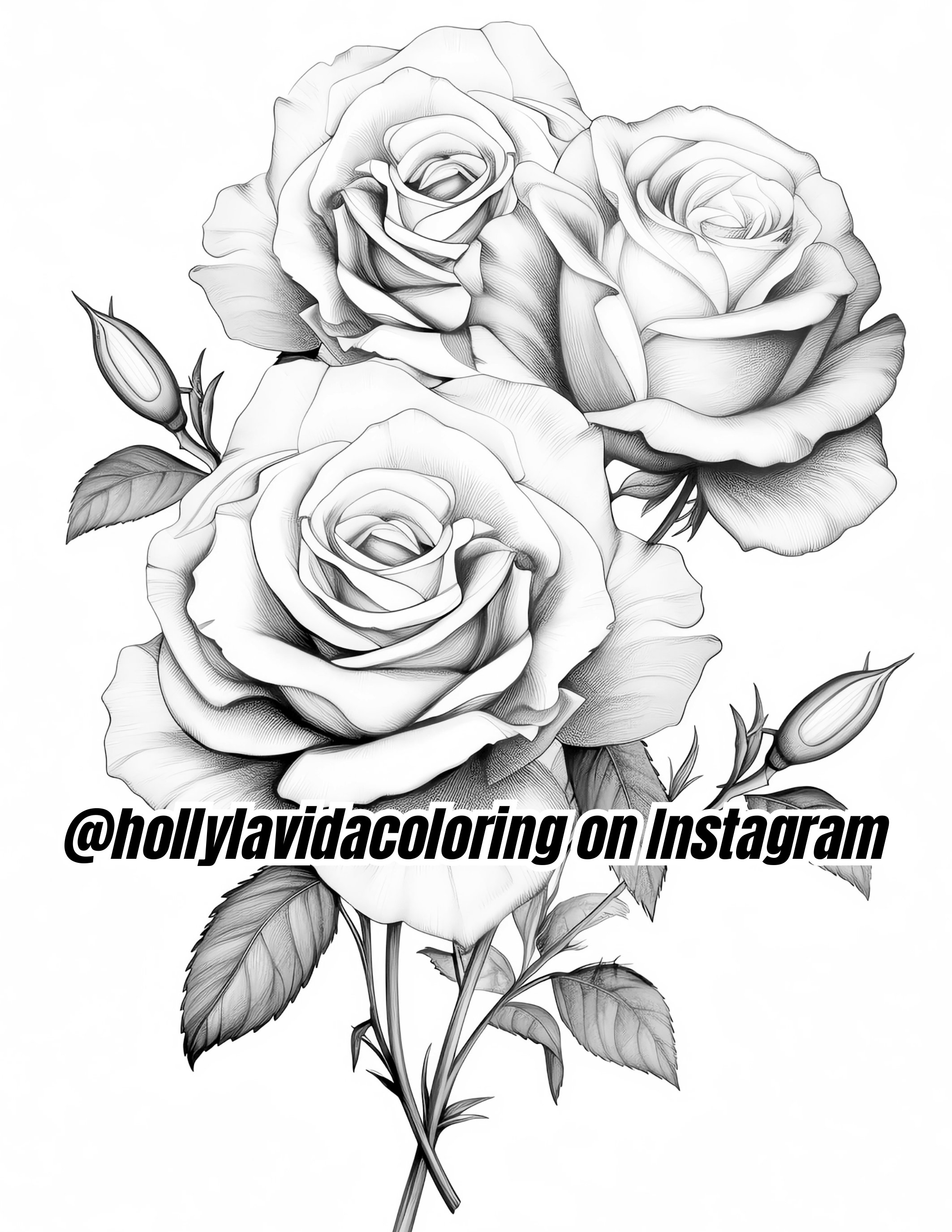 25 Vintage Roses Coloring Book Pages Rose Flowers Coloring - Etsy