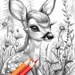 Cute Baby Fawn Coloring Book Page, Deer Animal Instant Download ...