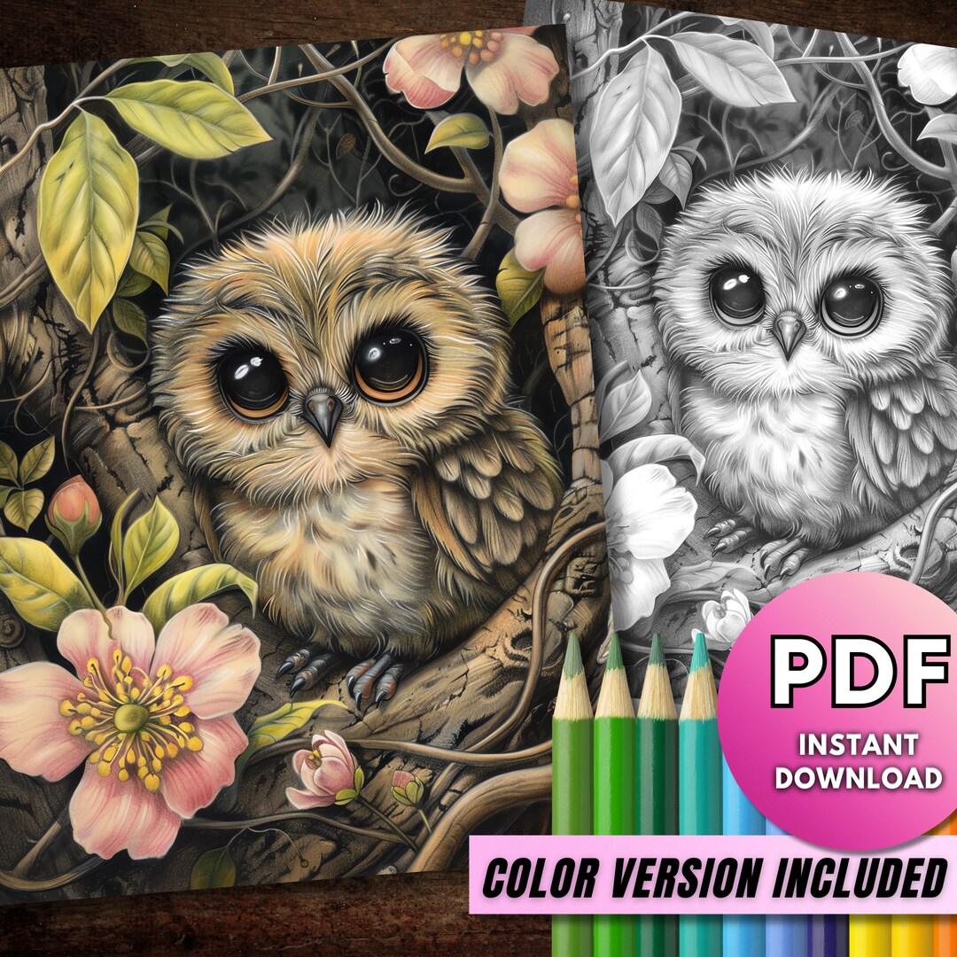 Cute Baby Owl Coloring Book Page, Big Eyes Bird Instant Download ...