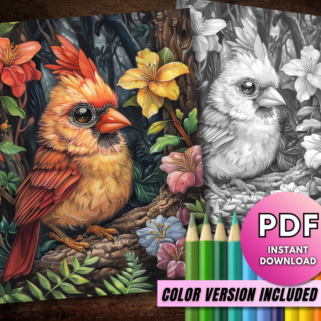 Cute Baby Cardinal Coloring Book Page, Small Bird Instant Download ...