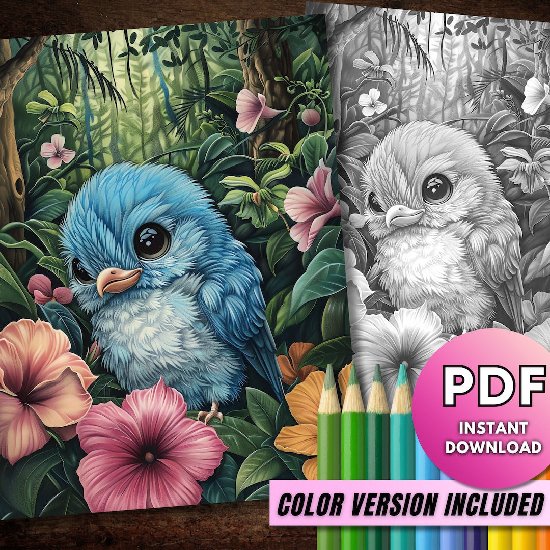 Cute Baby Bluebird Coloring Book Page, Blue Bird Instant Download ...