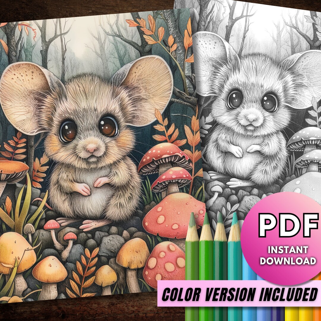 Cute Baby Mouse Coloring Book Page, Small Animal Instant Download ...