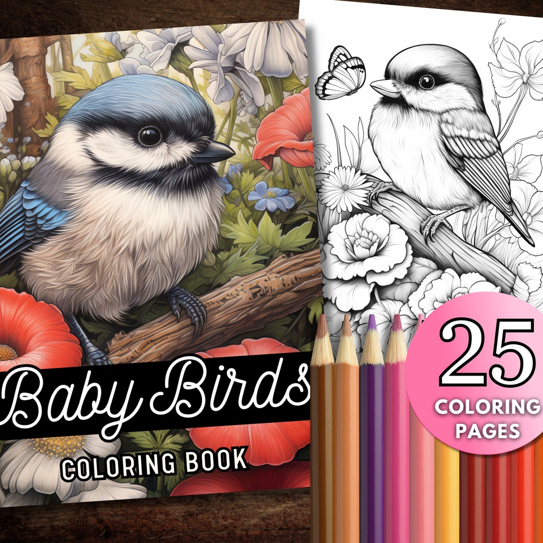 25 Baby Birds Coloring Book Pages, Baby Animals Printable PDF, Cute ...