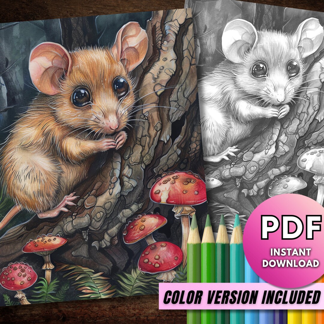 Cute Baby Mouse Coloring Book Page, Small Animal Instant Download ...
