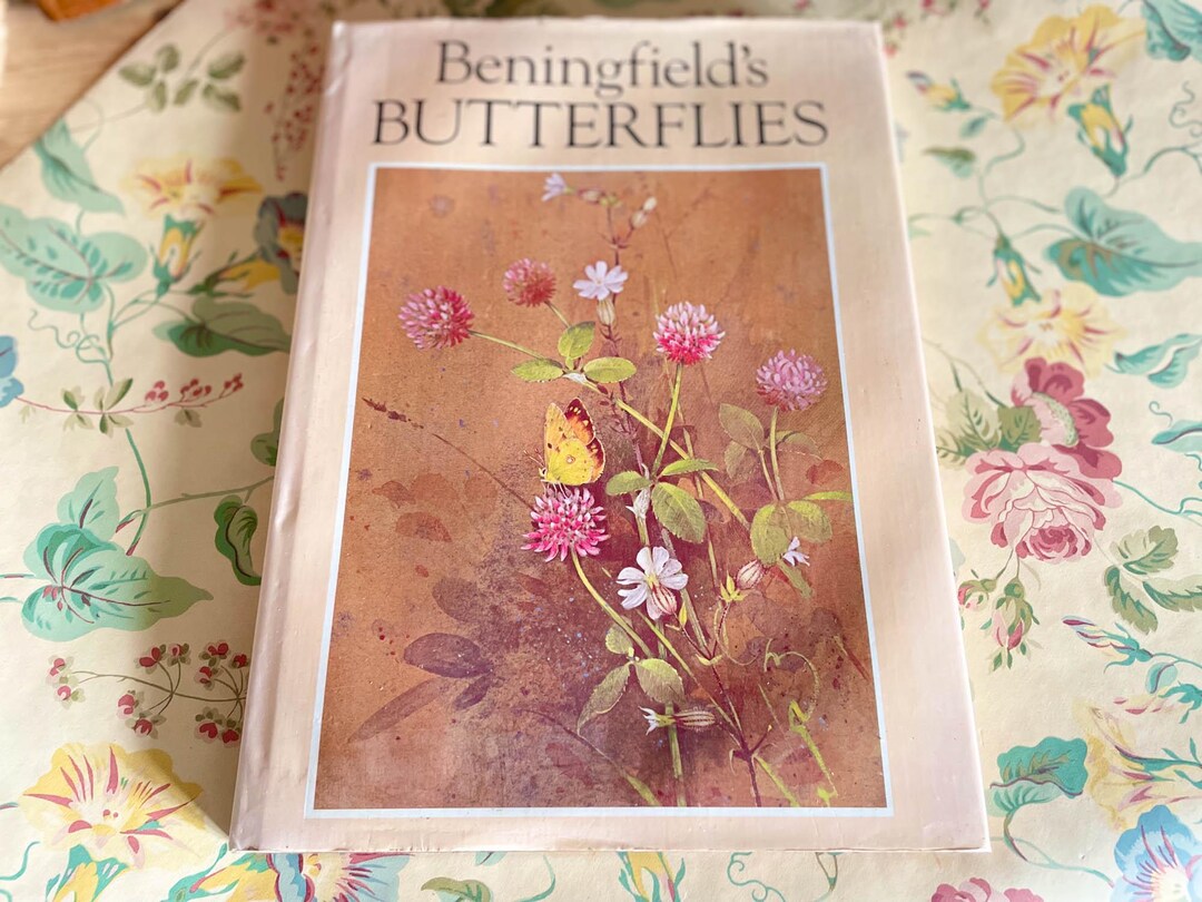 Vintage Butterfly Book/beningfields Butterfly Book/ Reference Book ...