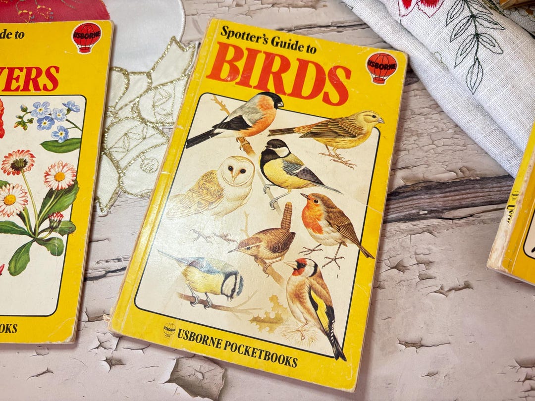 Vintage Usborne Birds Book, Britain Color Plates, Decor - Etsy