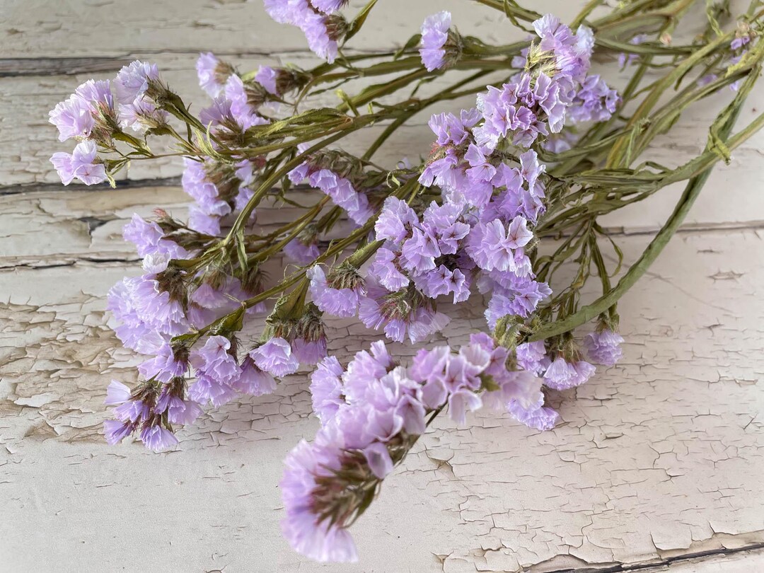 Dried Statice, Lilac Flowers, Dried Home Decor,boho Wedding Flowers ...