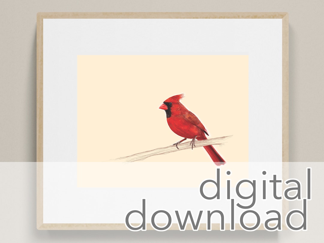 CARDINAL Bird Print, Digital Download Art, Digital Art Print, Printable ...