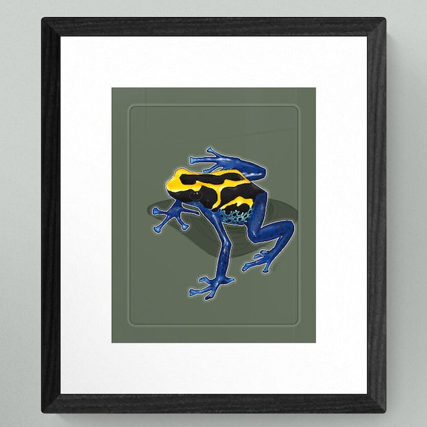 Frog Poster - Etsy Canada