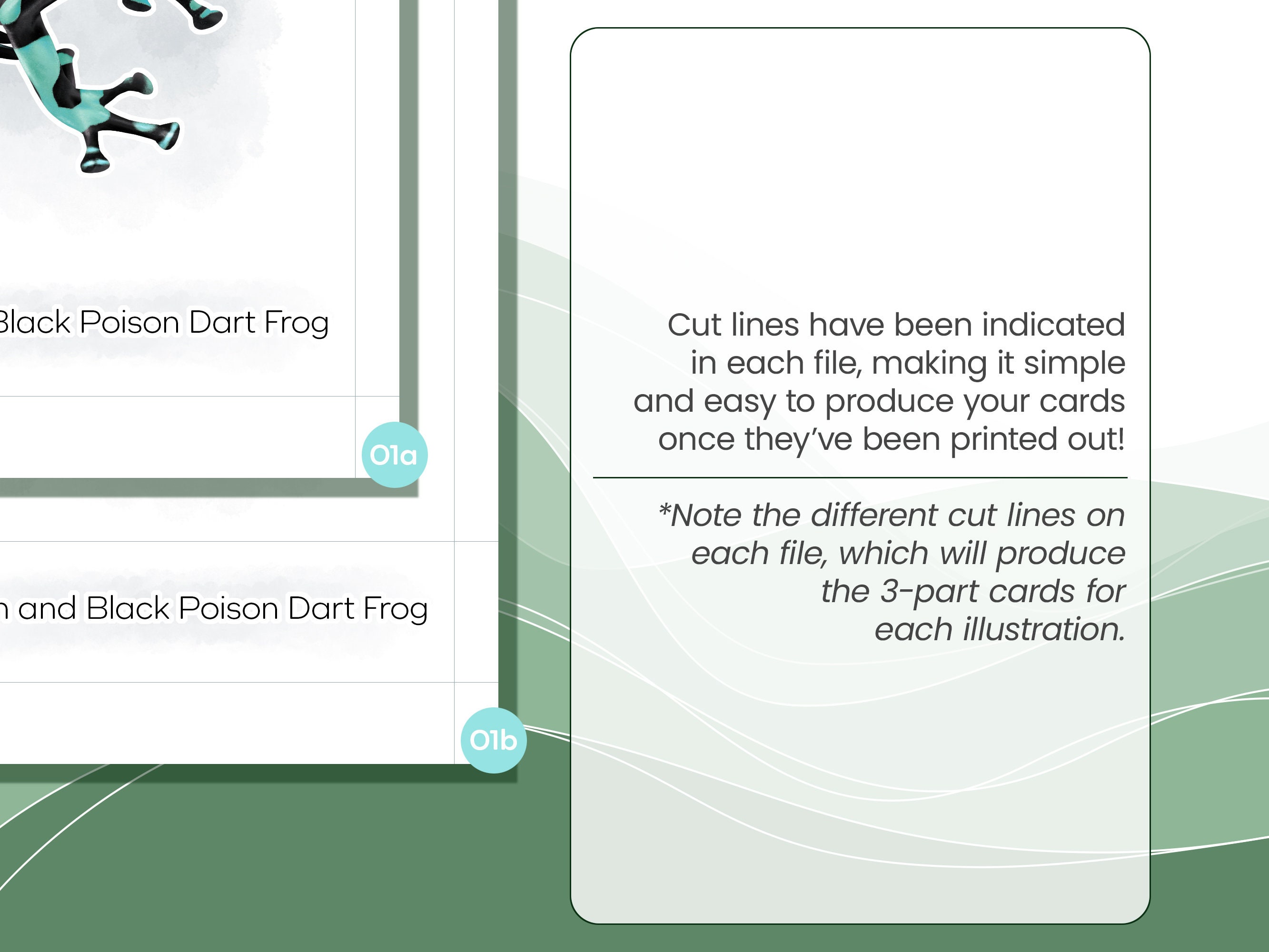 Montessori Nomenclature Cards ILLUSTRATED FROGS, Montessori Materials ...