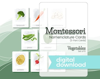 Montessori Nomenclature Cards ILLUSTRATED VEGETABLES, Montessori ...