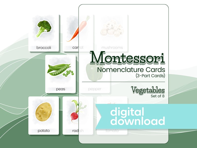 Montessori Nomenclature Cards ILLUSTRATED VEGETABLES, Montessori ...