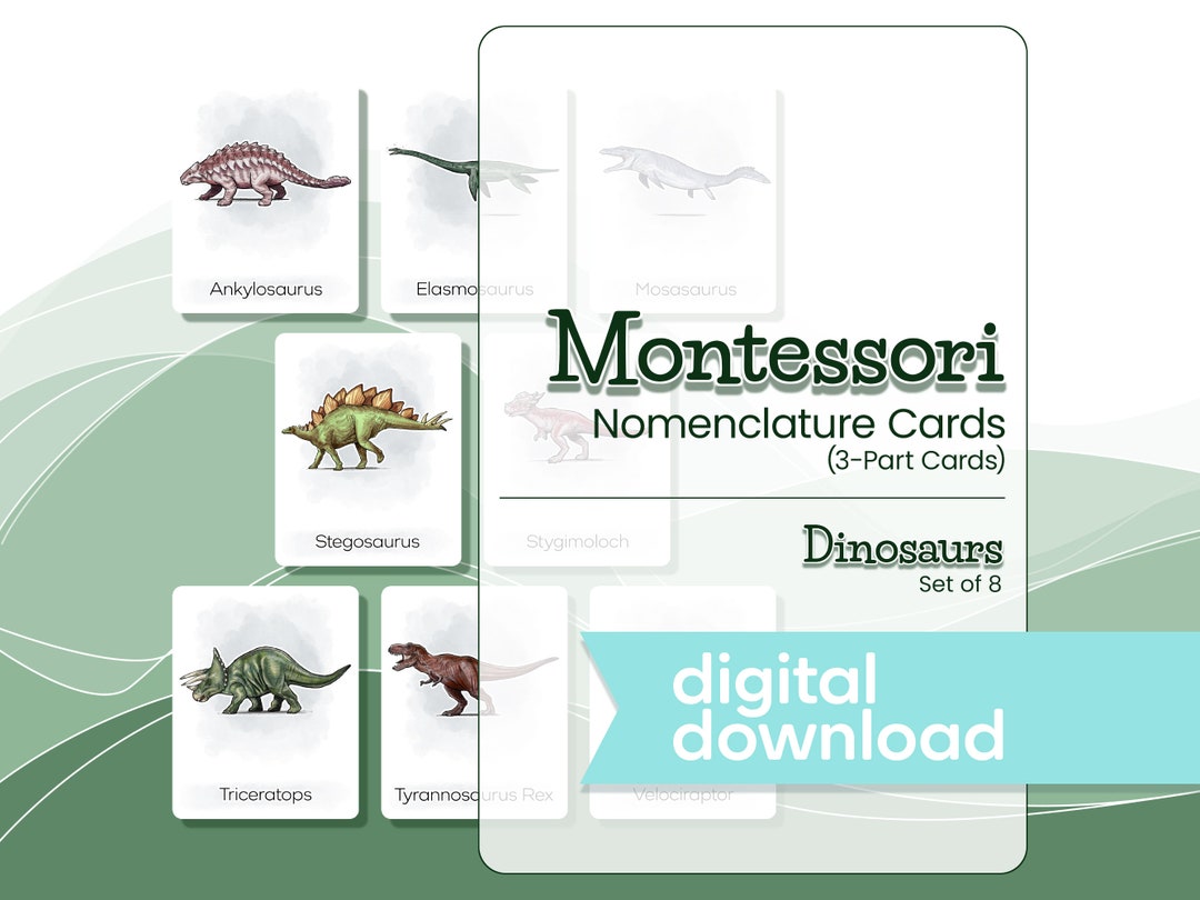 Montessori Nomenclature Cards ILLUSTRATED DINOSAURS, Montessori ...