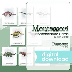 Montessori Nomenclature Cards ILLUSTRATED DINOSAURS, Montessori ...