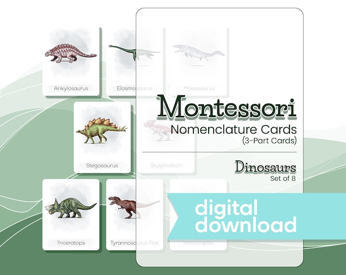 Montessori Dinosaur 3 Part Cards - Etsy Ireland