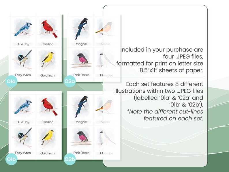 Montessori Nomenclature Cards ILLUSTRATED BIRDS, Montessori Materials ...