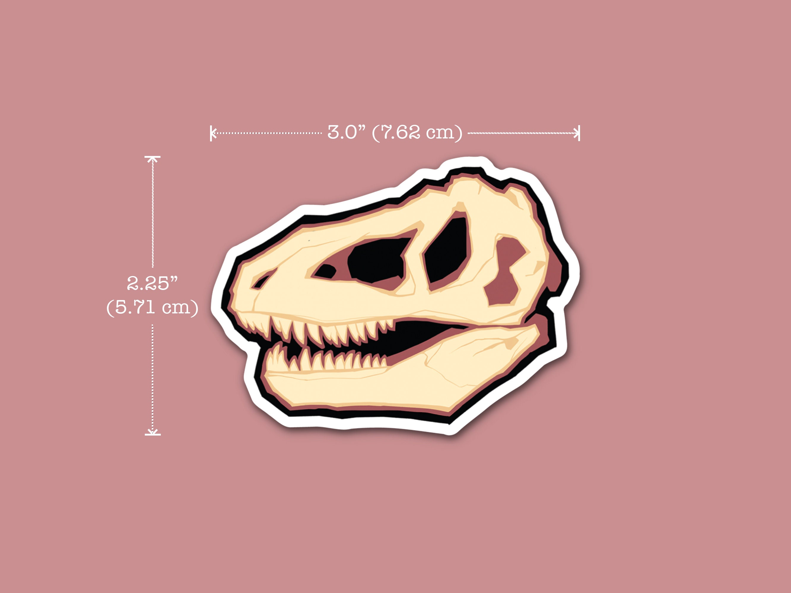 DINOSAUR SKULL STICKER Tyrannosaurus Rex, Dinosaur Sticker, T-rex ...