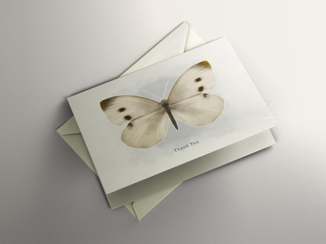 CABBAGE WHITE BUTTERFLY Thank You Card Minimalist Greeting Card Thank ...