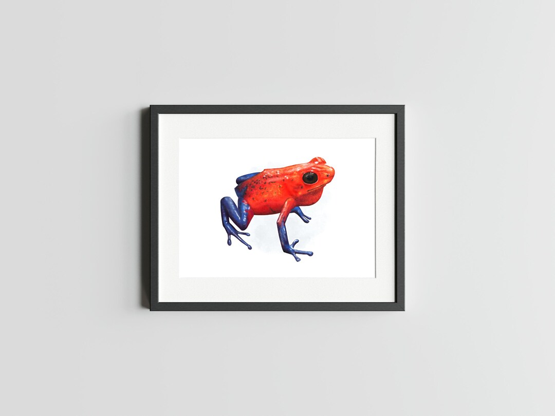 Strawberry POISON DART FROG 5x7 Art Print of Frog Print Decor of Frog ...