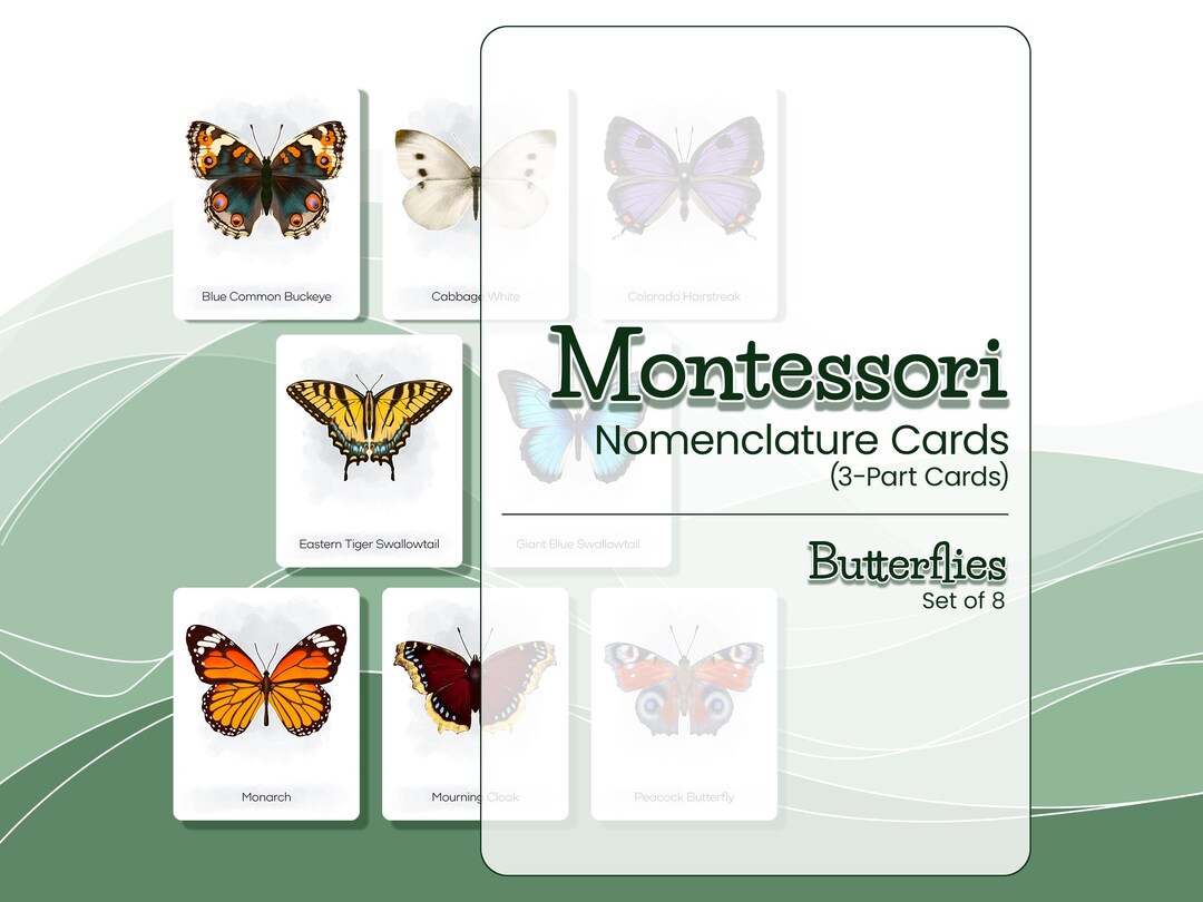 3 PART CARDS BUTTERFLIES Montessori Nomenclature Cards Butterfly ...