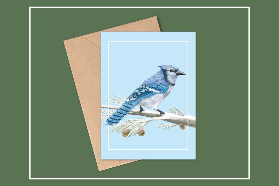 BLUE JAY Christmas Card, Holiday Cards, Greeting Cards, Christmas Cards ...