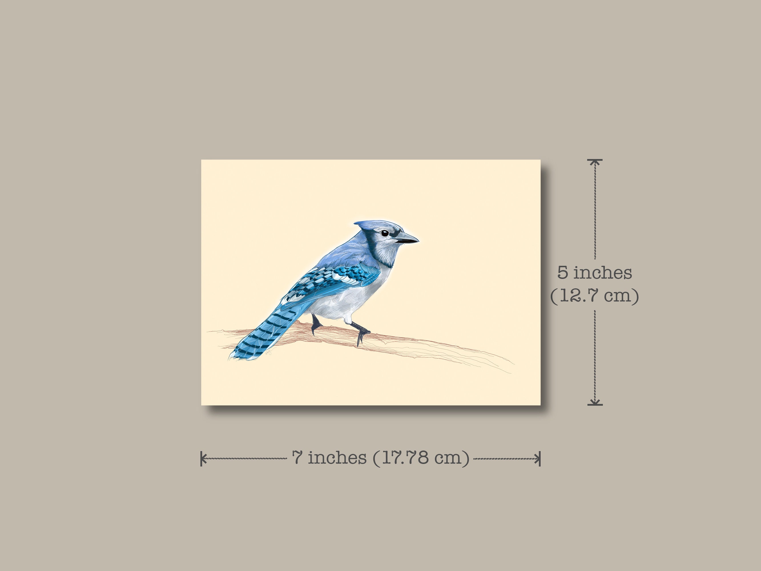 BLUE JAY Bird Print, Printable Art Print, Digital Art Print, Digital ...
