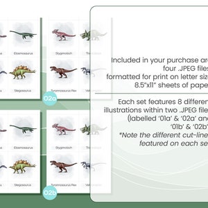 Montessori Nomenclature Cards ILLUSTRATED DINOSAURS, Montessori ...
