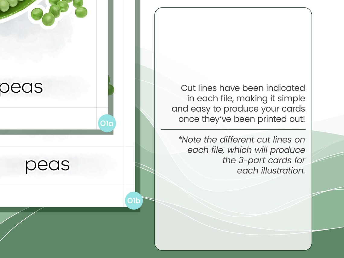 Montessori Nomenclature Cards ILLUSTRATED VEGETABLES, Montessori ...