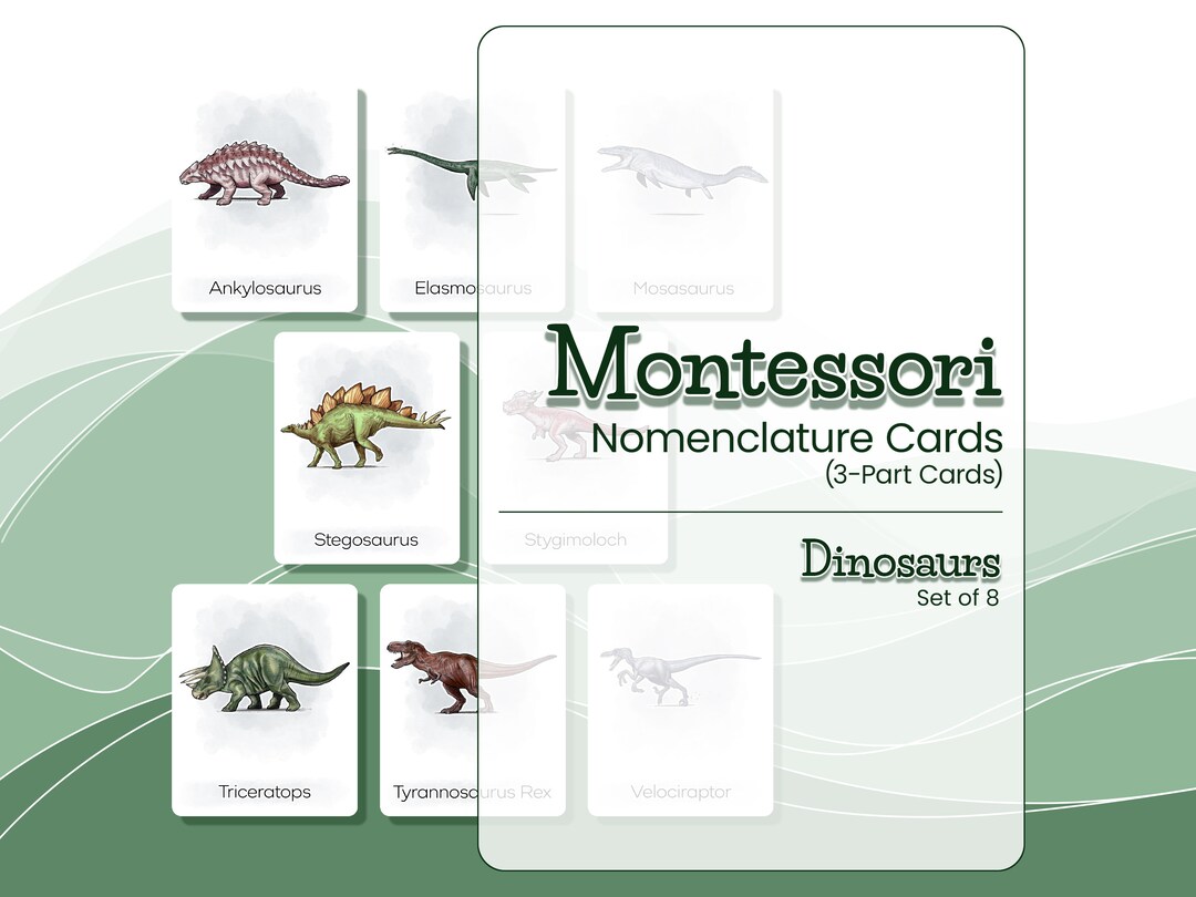 Montessori Nomenclature Cards ILLUSTRATED Dinosaurs, Montessori ...
