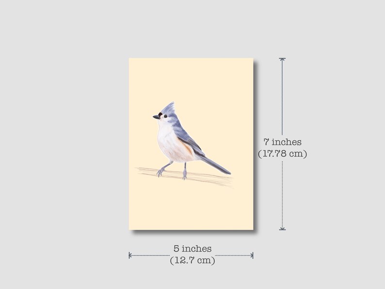 TUFTED TITMOUSE Bird Art Print, Digital Download, Digital Art Print ...