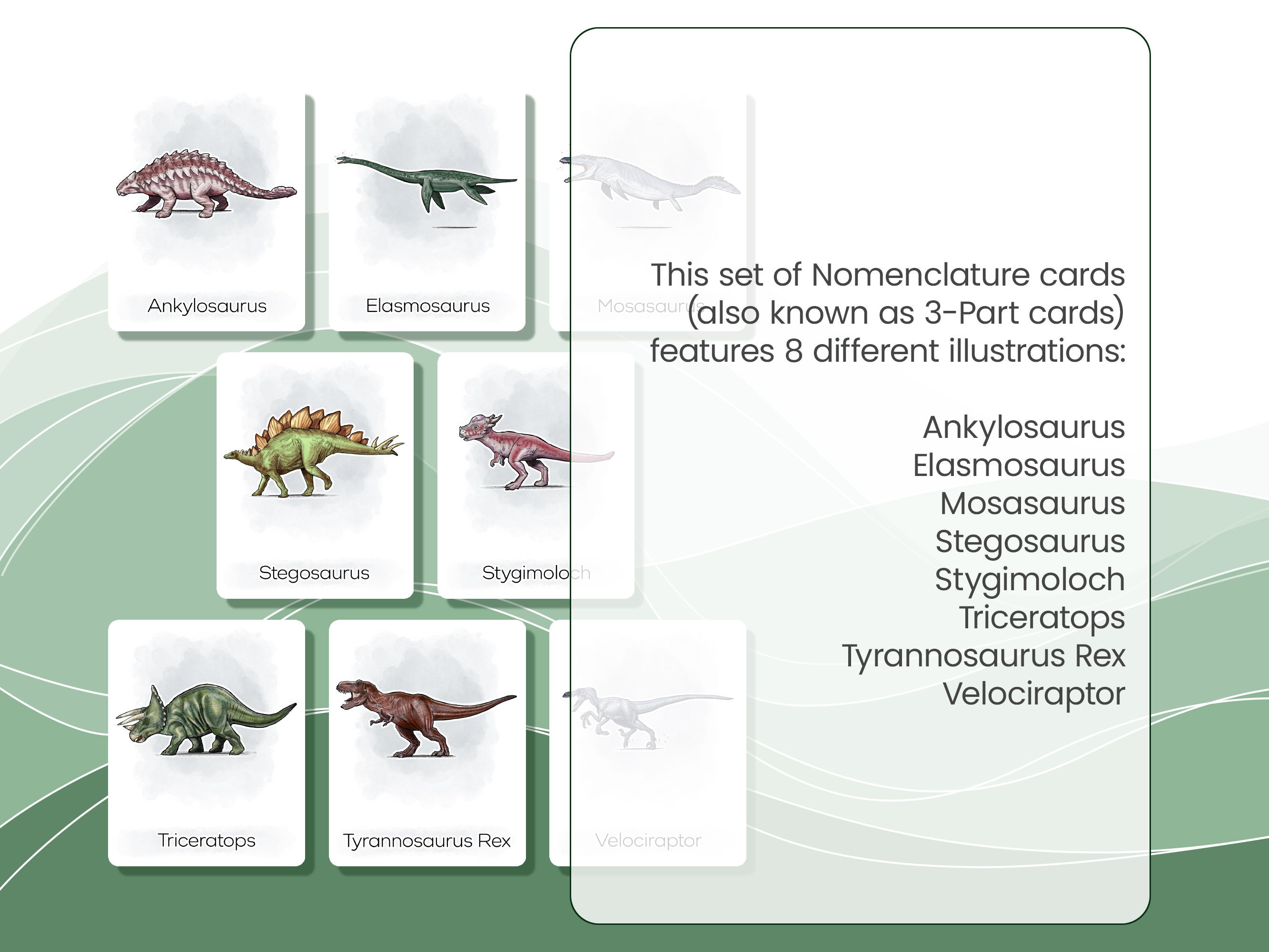 Montessori Nomenclature Cards ILLUSTRATED Dinosaurs, Montessori ...