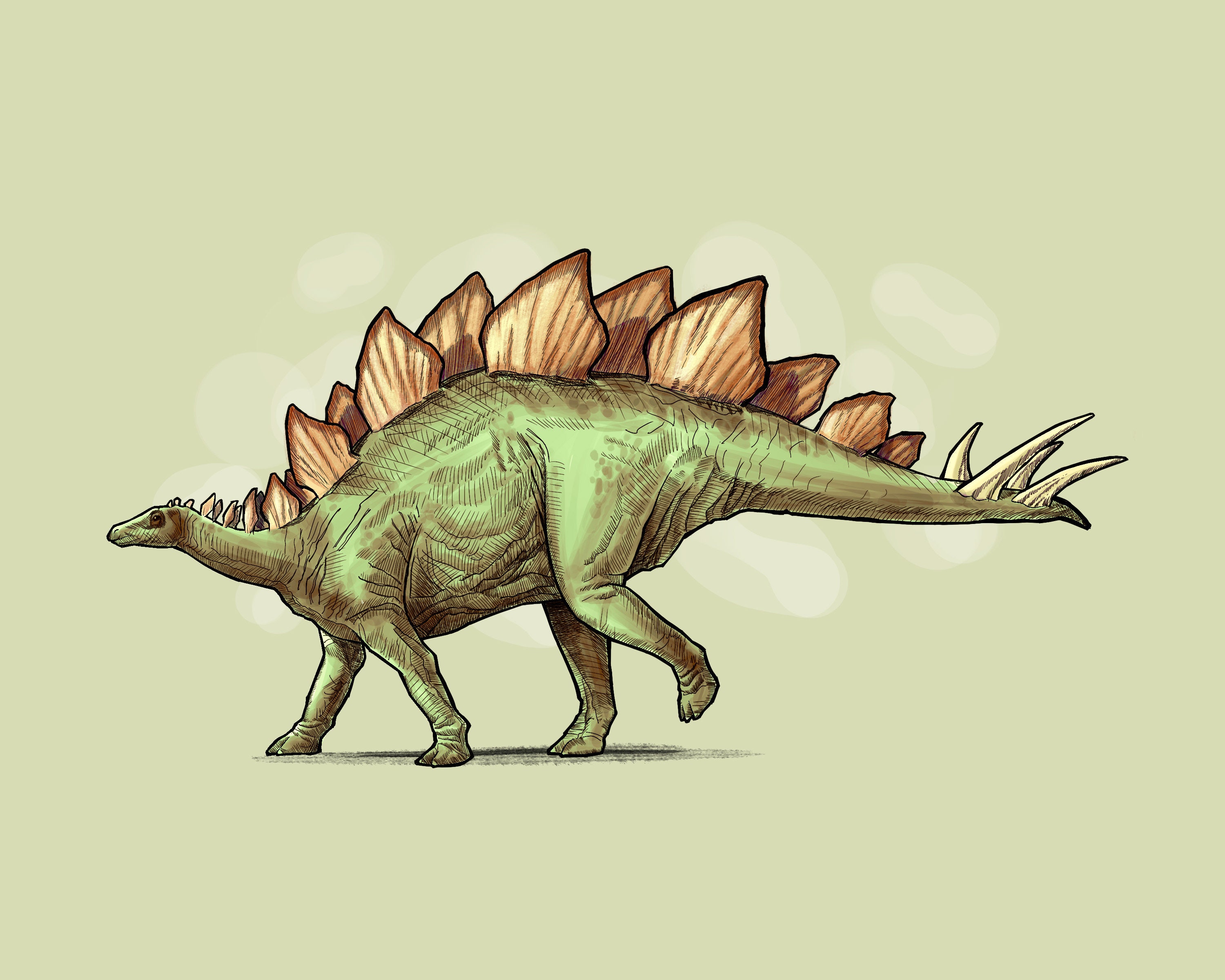 STEGOSAURUS ART PRINT, Dinosaur Art Print, Classroom Decor, Stegosaurus ...