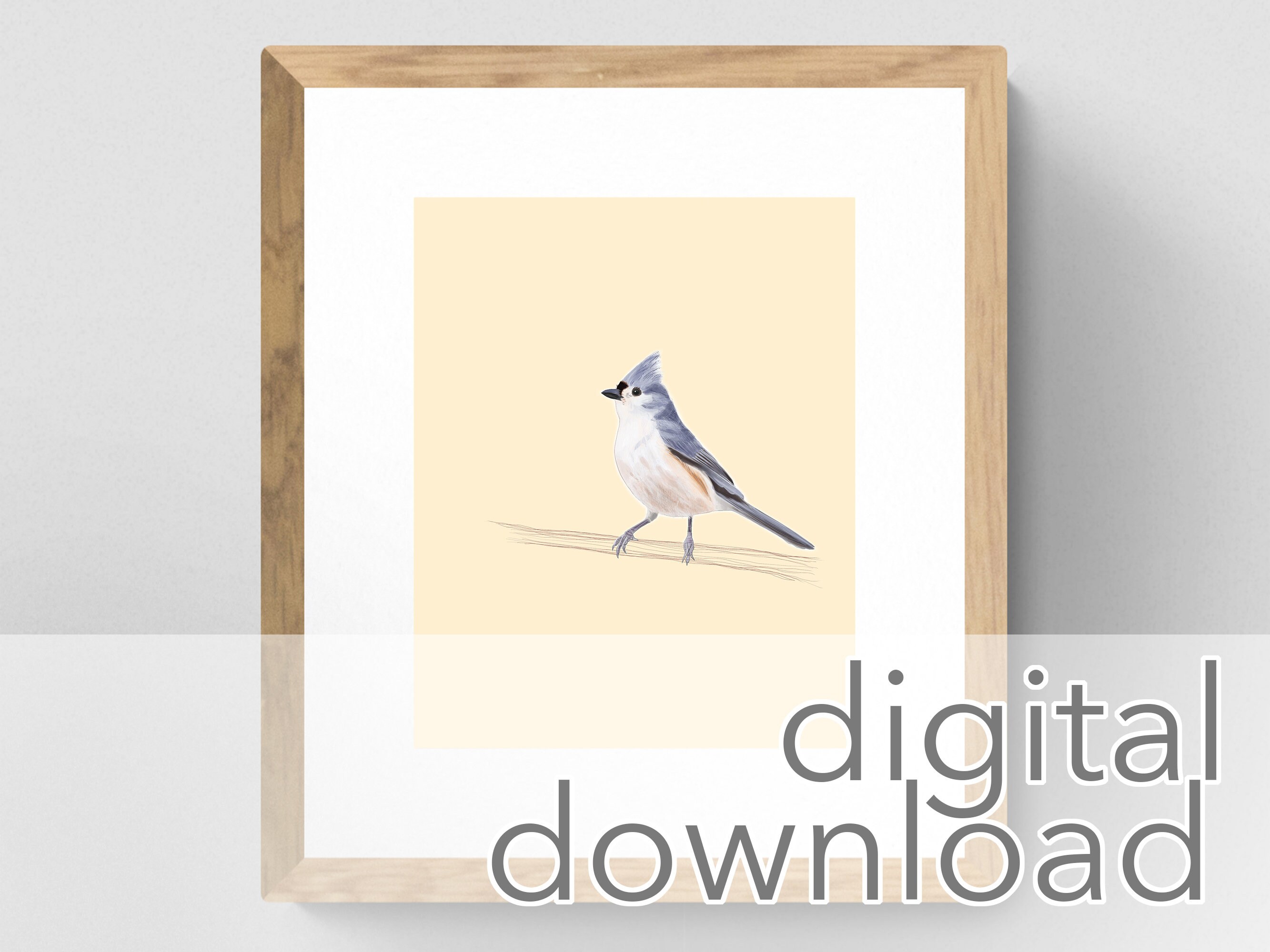 TUFTED TITMOUSE Bird Art Print, Digital Download, Digital Art Print ...