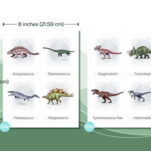 Montessori Nomenclature Cards ILLUSTRATED DINOSAURS, Montessori ...