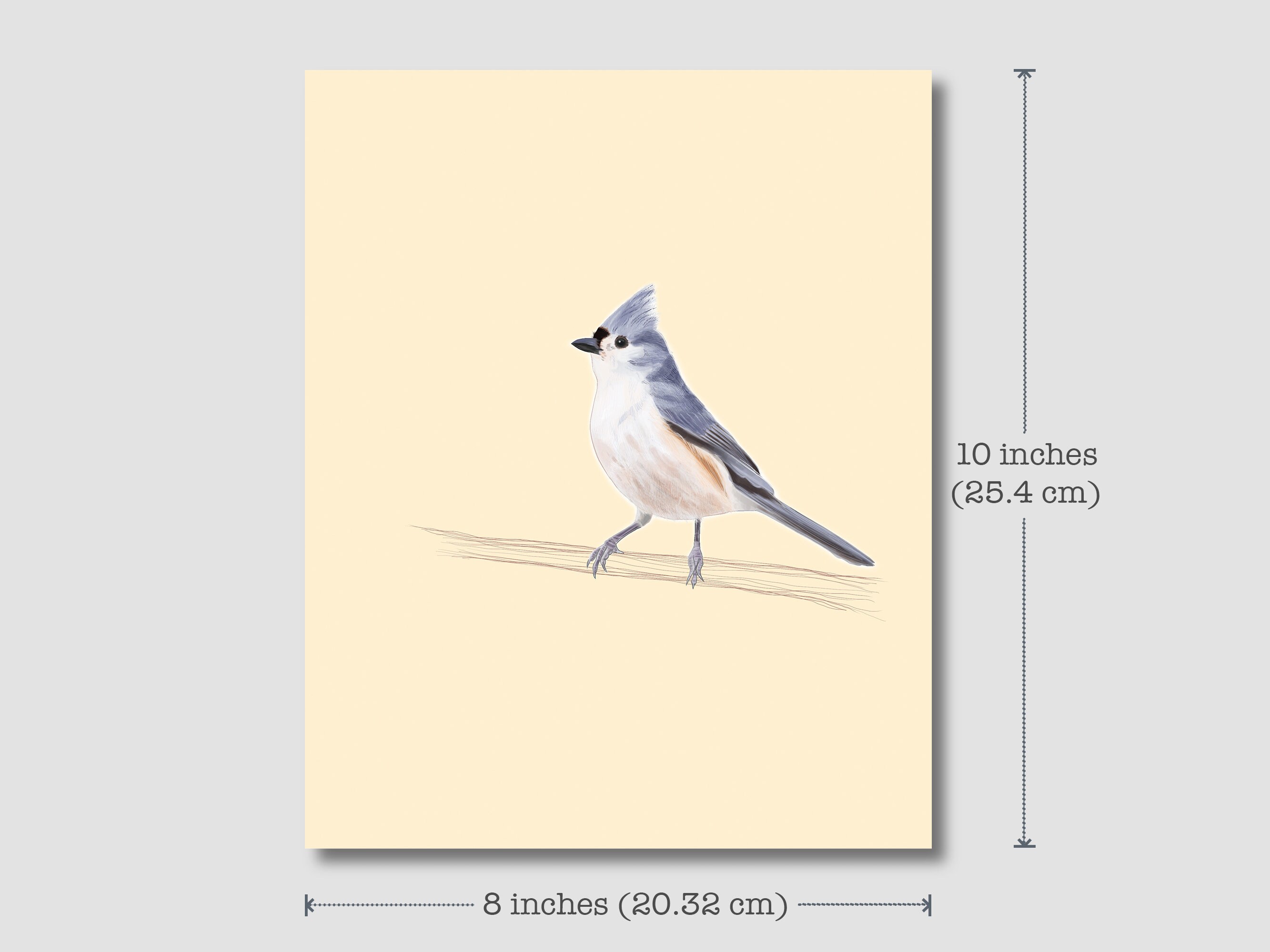 TUFTED TITMOUSE Bird Art Print, Digital Download, Digital Art Print ...