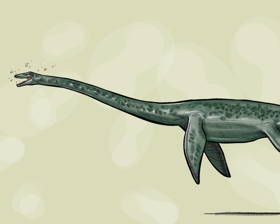 ELASMOSAURUS Dinosaur ART PRINT Dinosaur Illustration - Etsy
