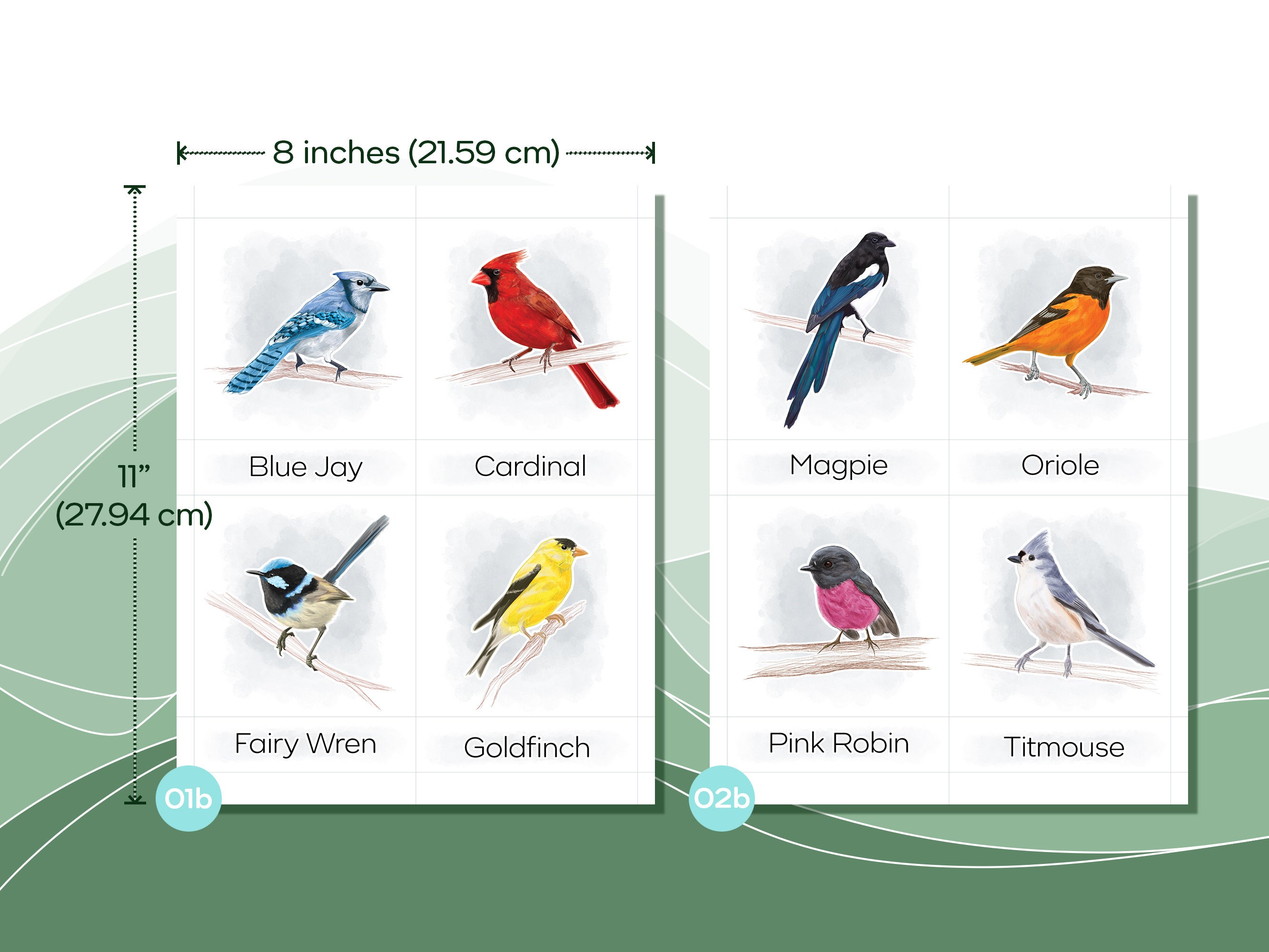 Montessori Nomenclature Cards ILLUSTRATED BIRDS, Montessori Materials ...