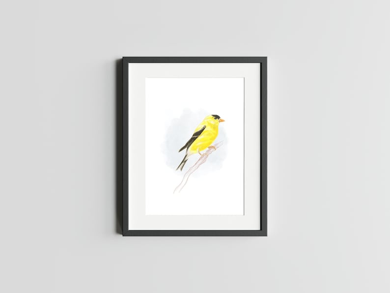 AMERICAN GOLDFINCH 5x7 Art Print of Goldfinch Art Home Decor Wall Art ...