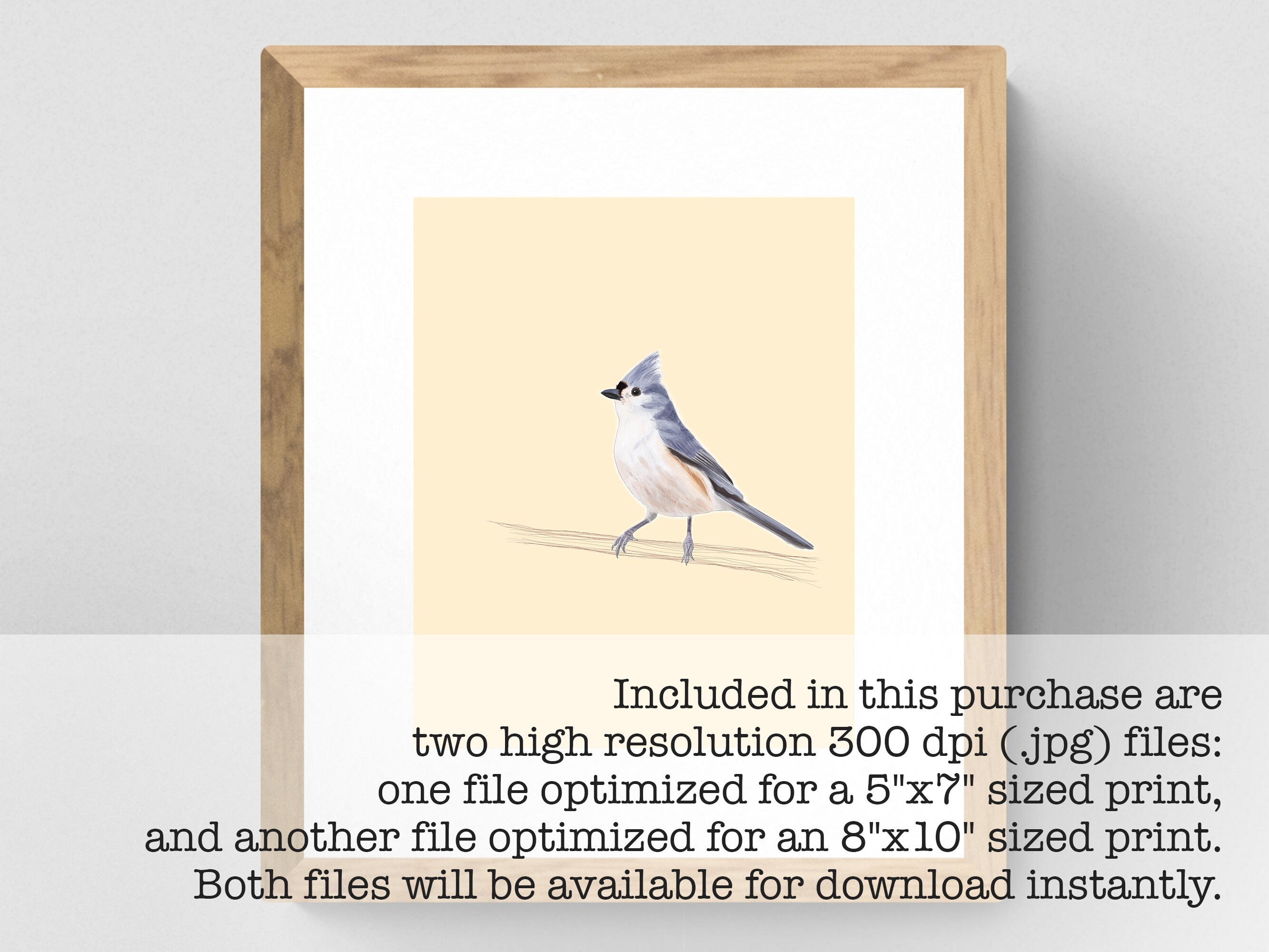 TUFTED TITMOUSE Bird Art Print, Digital Download, Digital Art Print ...