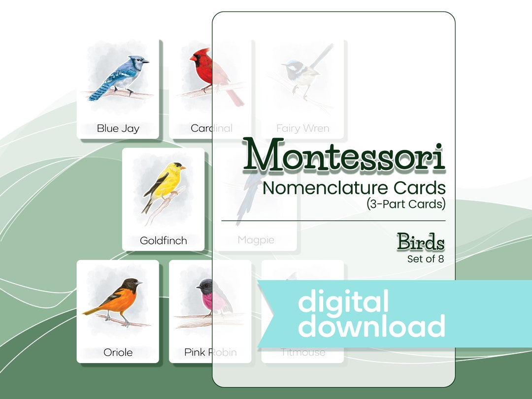 Montessori Nomenclature Cards ILLUSTRATED BIRDS, Montessori Materials ...