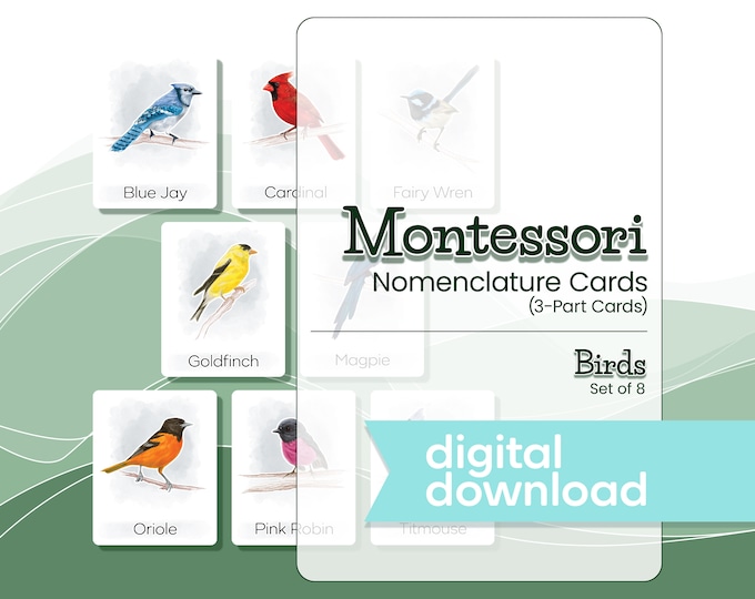 Seed and Plant Matching Cards Montessori Botany Printable Montessori ...