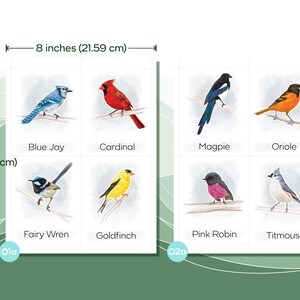 Montessori Nomenclature Cards ILLUSTRATED BIRDS, Montessori Materials ...