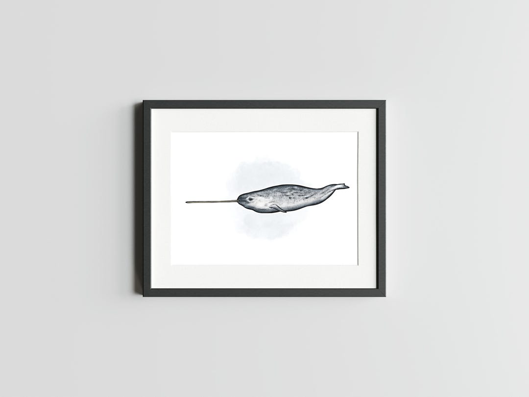 NARWHAL 5x7 Whale Art Print of Whale Print Decor of Whale Artwork for ...