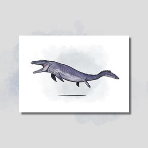 MOSASAURUS 5x7 DINOSAUR Art Print Home Decor of Dinosaur Artwork for ...