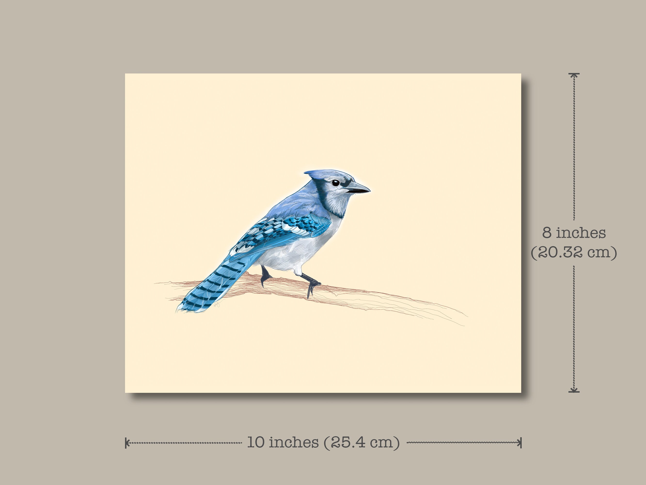 BLUE JAY Bird Print, Printable Art Print, Digital Art Print, Digital ...