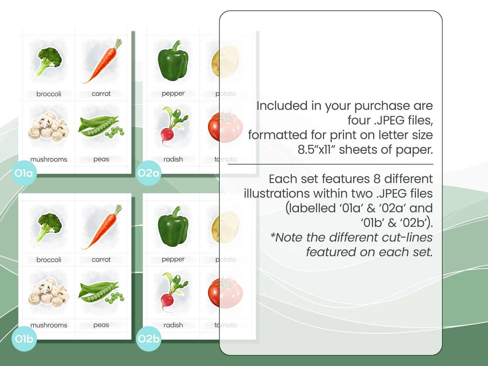 Montessori Nomenclature Cards ILLUSTRATED VEGETABLES, Montessori ...