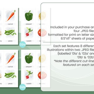 Montessori Nomenclature Cards ILLUSTRATED VEGETABLES, Montessori ...